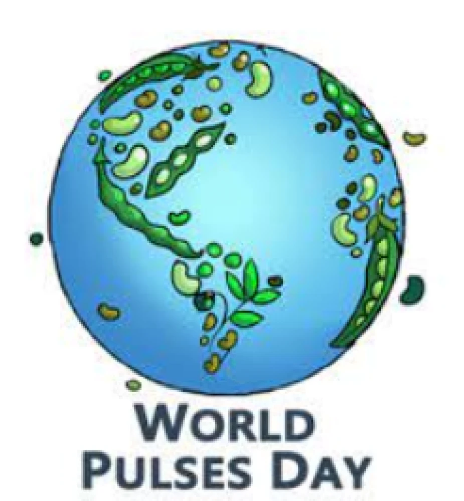 FEBRUARY 10 IS WORLD PULSE DAY